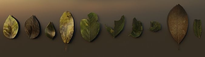 Low Poly Leaves - Pack of 10 - 001-010 3D model | CGTrader