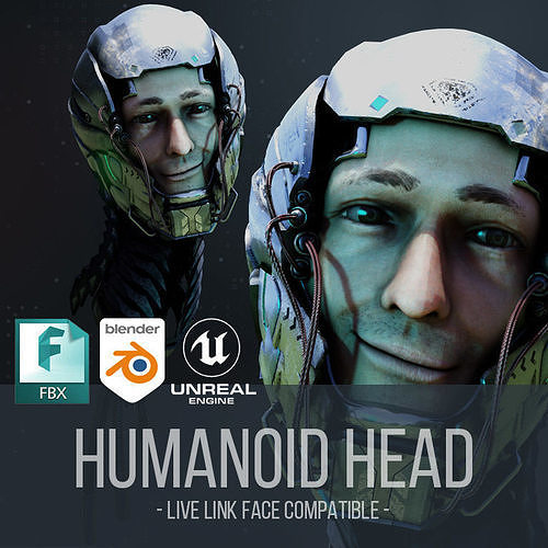 Photorealistic Humanoid Head 3D model animated rigged | CGTrader