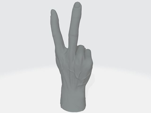 Hand Gesture 3D model 3D printable | CGTrader