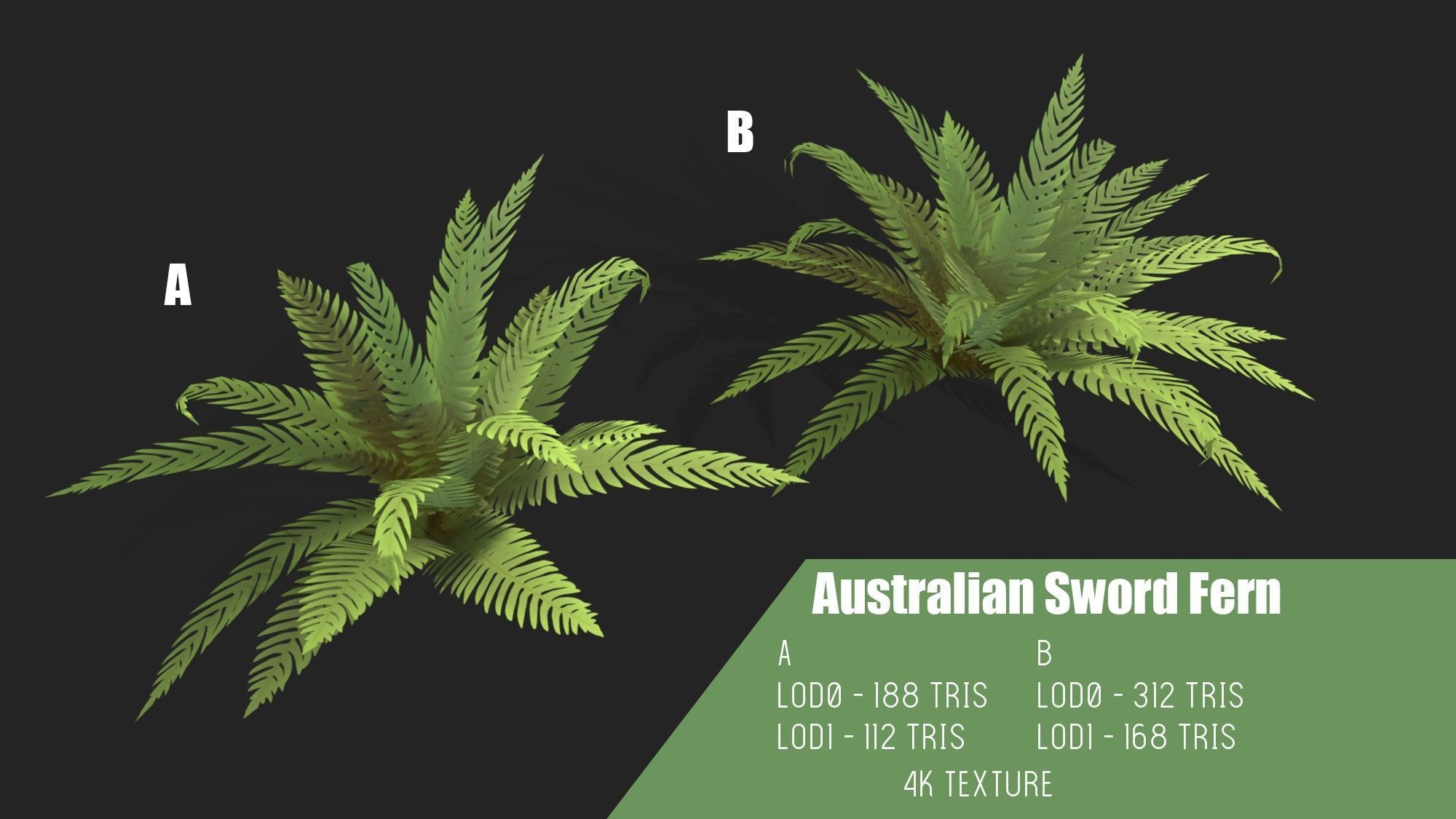Stylized Fern Plant Pack 1 3D model | CGTrader