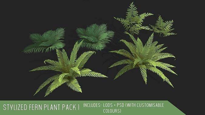 Stylized Fern Plant Pack 1 3D model | CGTrader