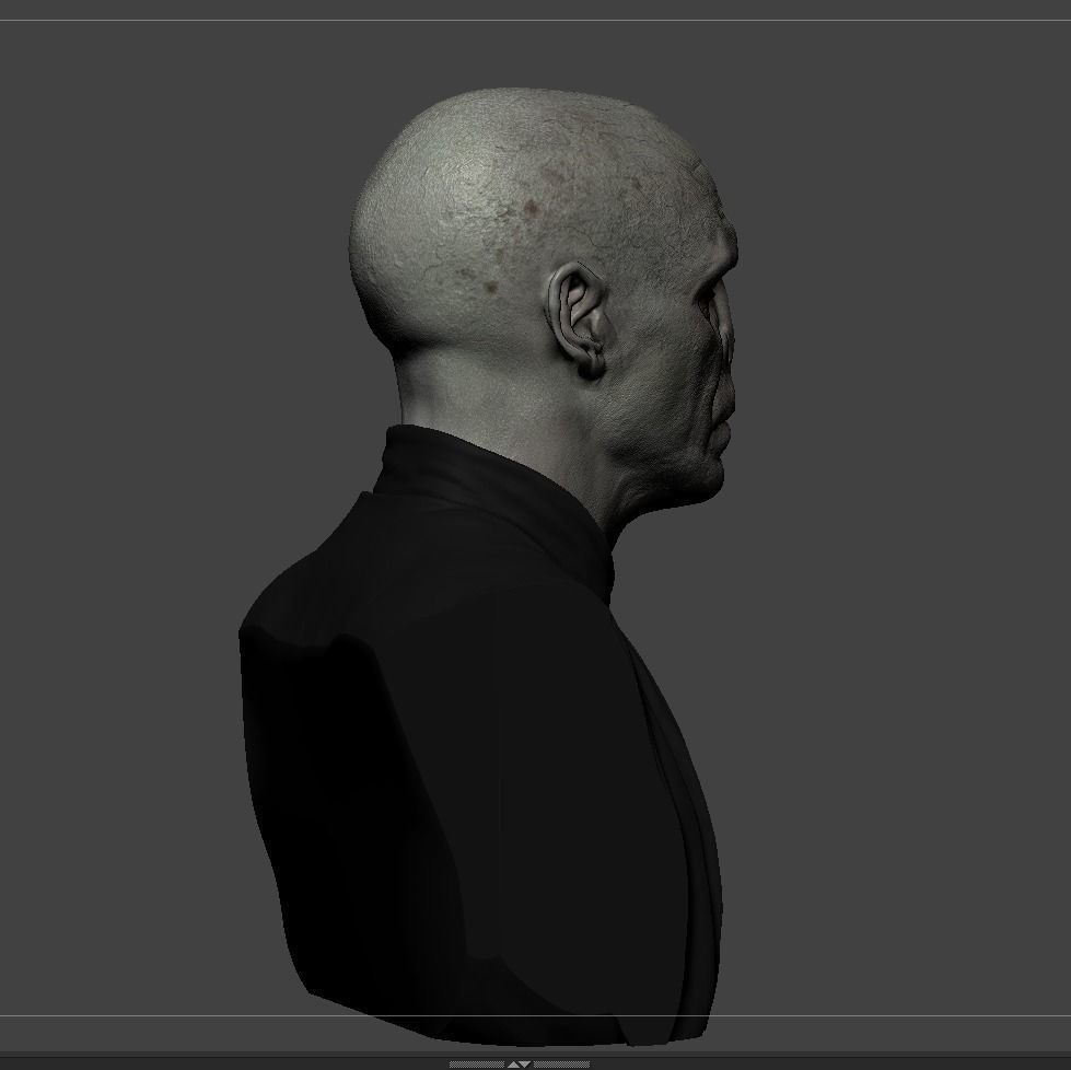 Lord Voldemort 3D model 3D printable | CGTrader