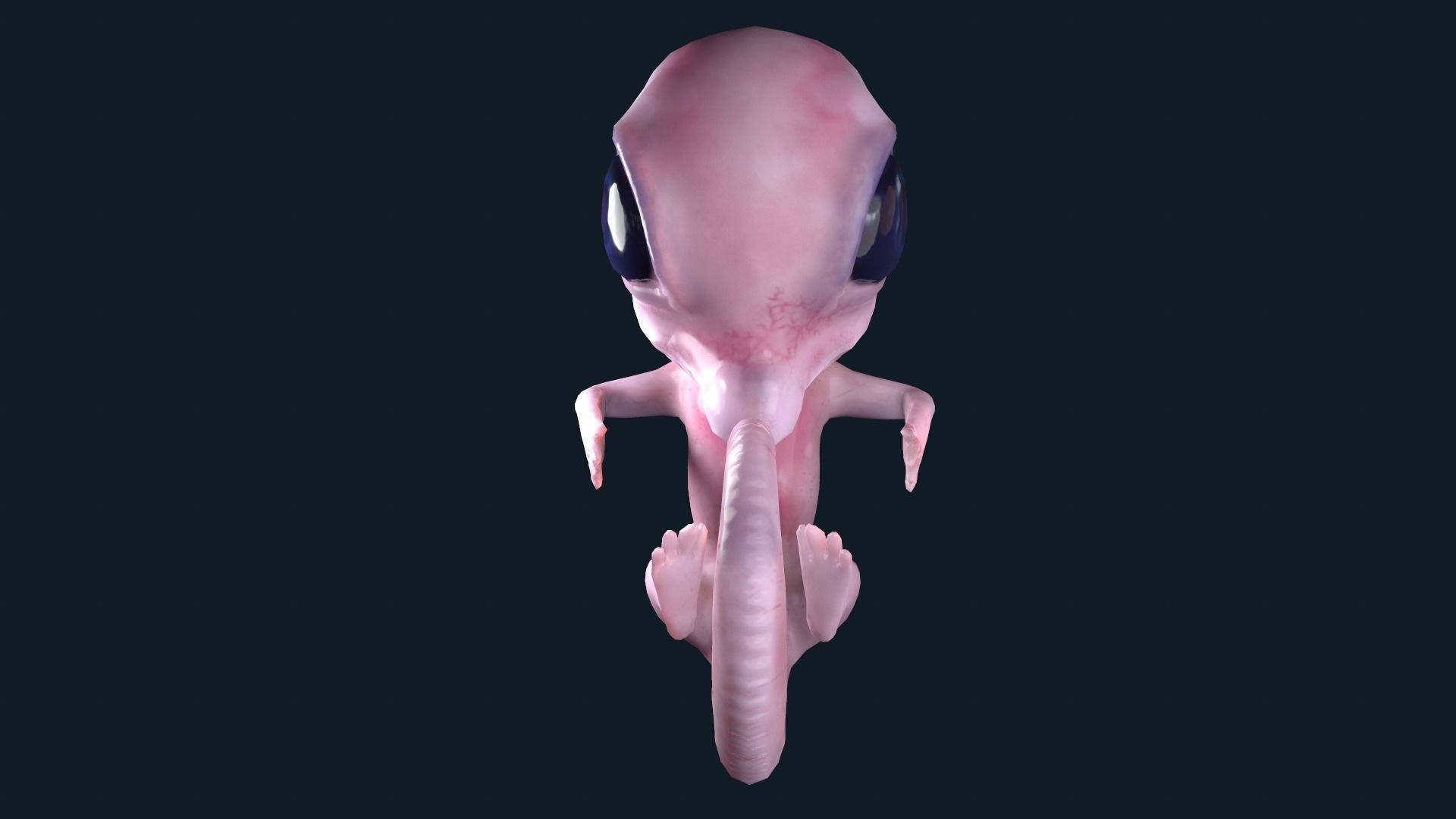 3D model Alligator embryo VR / AR / low-poly | CGTrader