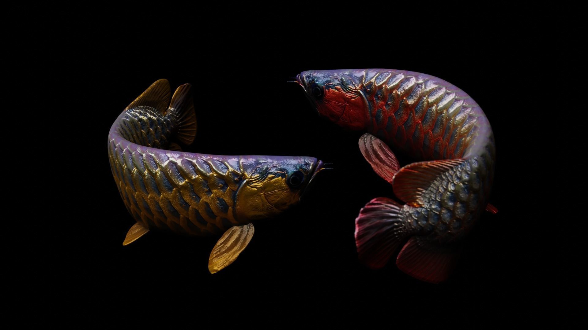Realistic freshwater fish 3D Model Collection | CGTrader