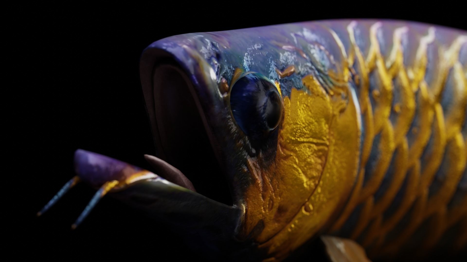 Realistic freshwater fish 3D Model Collection | CGTrader