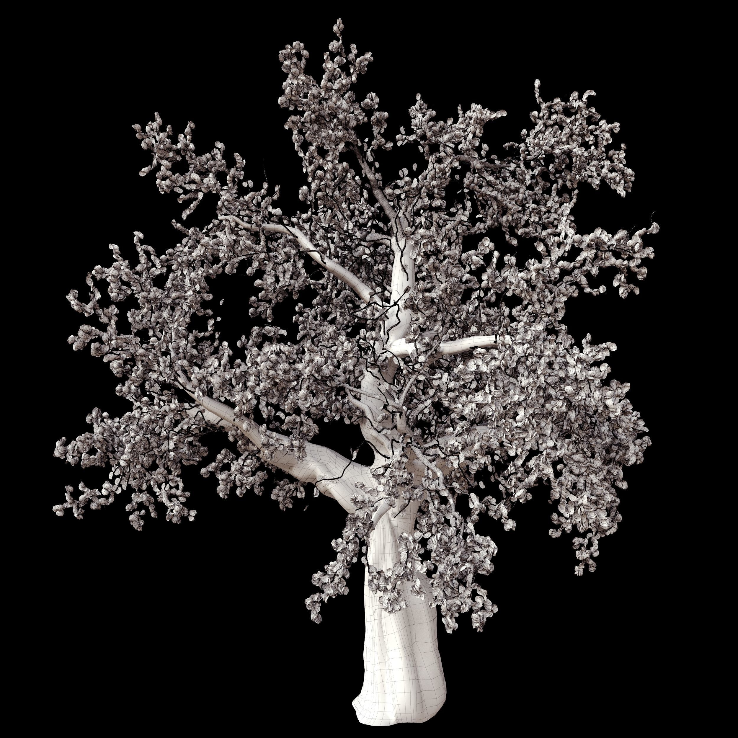 red maple tree free 3D model | CGTrader