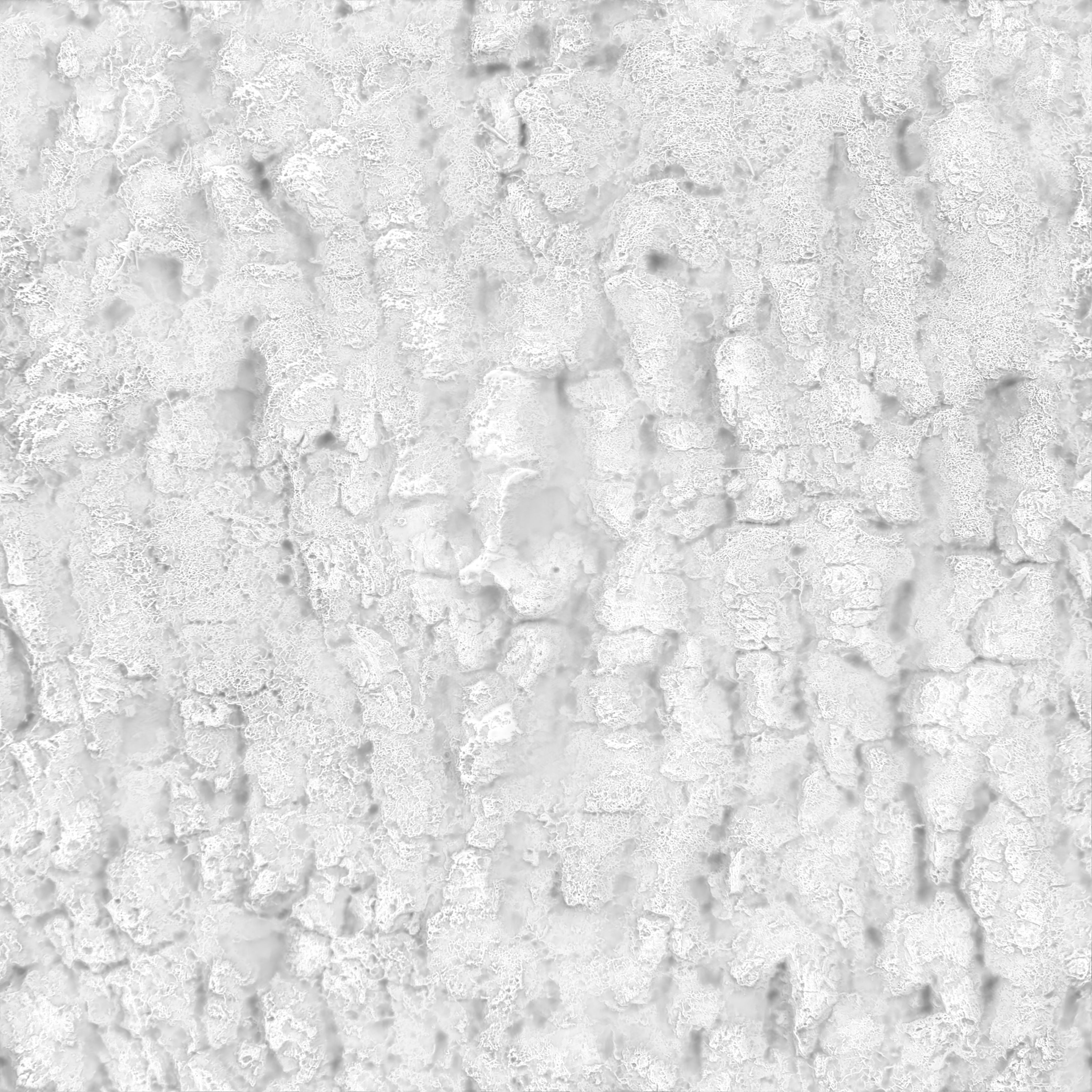 Texture Tree Bark Seamless 06 VR / AR / low-poly | CGTrader