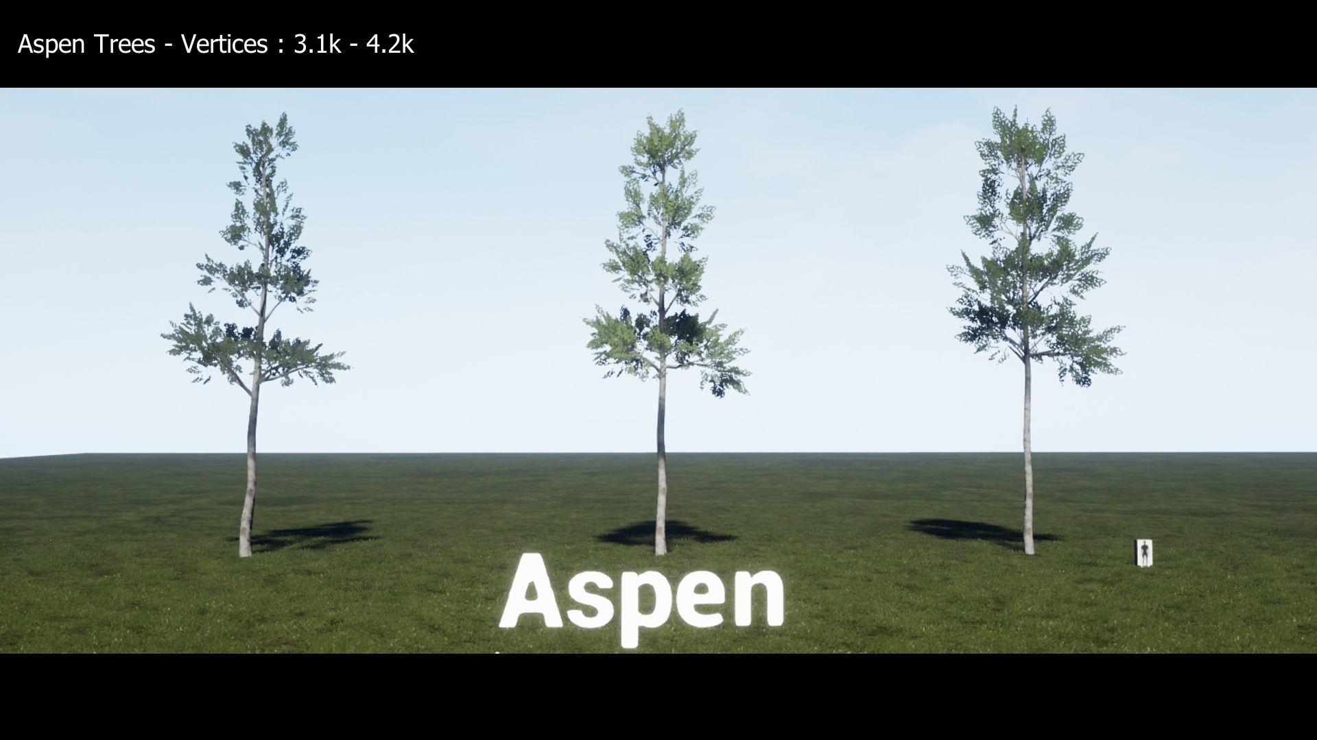 3D model Aspen Tree Set VR / AR / low-poly | CGTrader