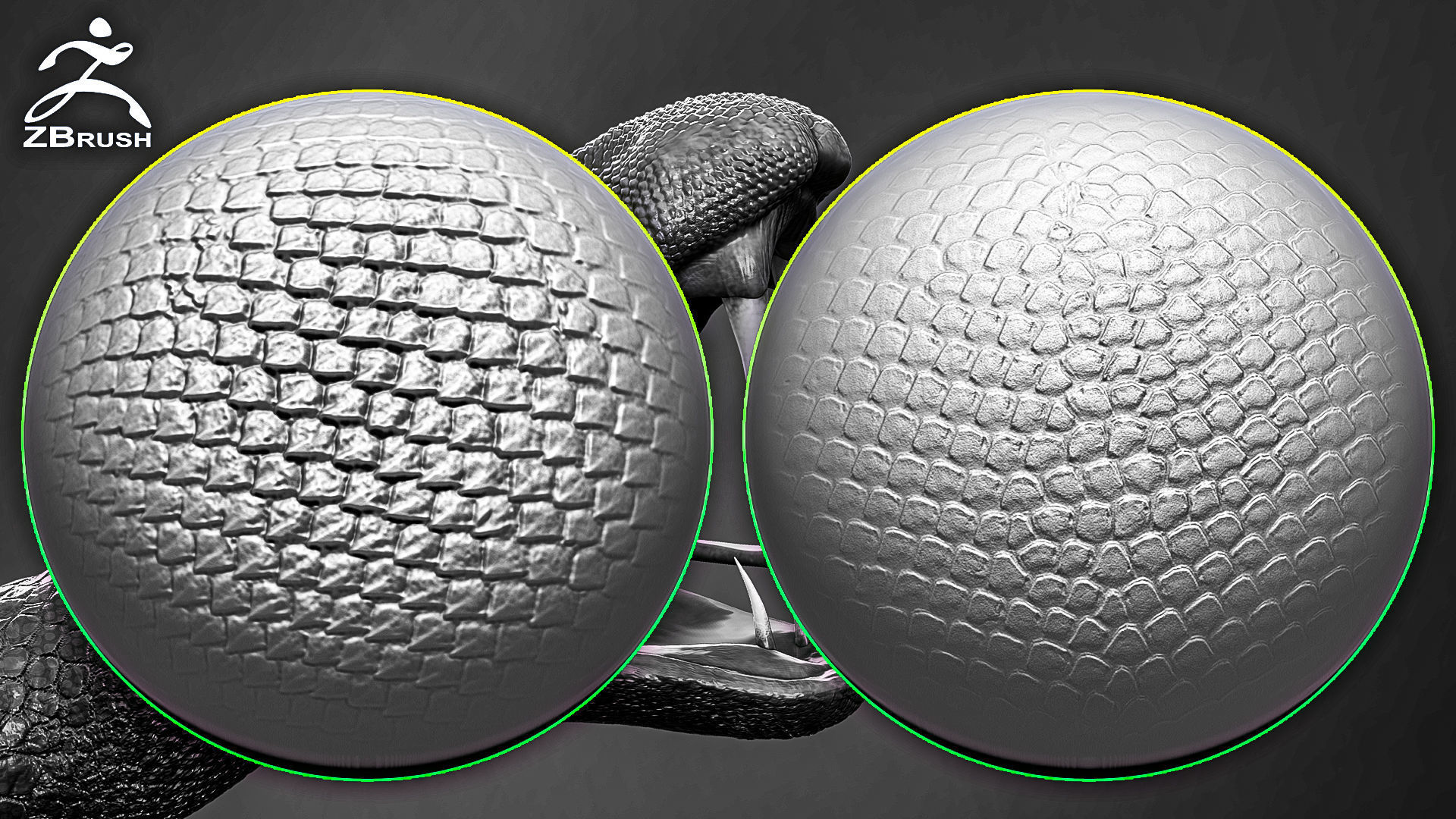 Reptile Skin Alphas for ZBrush 3D model | CGTrader