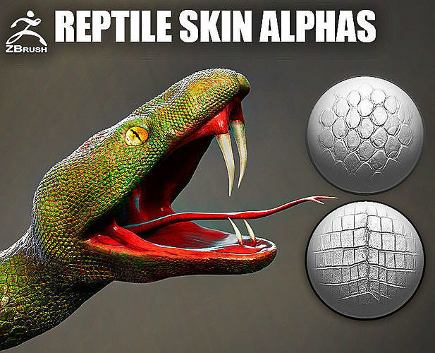 Reptile Skin Alphas for ZBrush 3D model | CGTrader