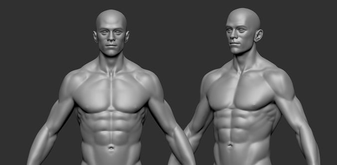 male body 3D model | CGTrader