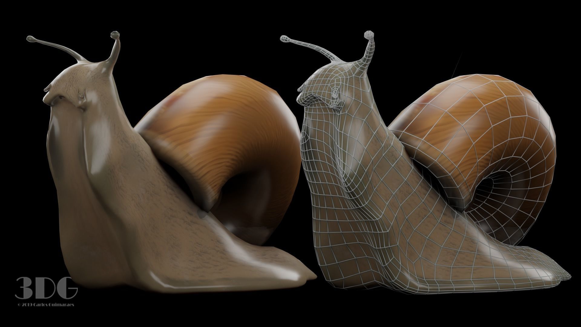 3D model Snail | CGTrader