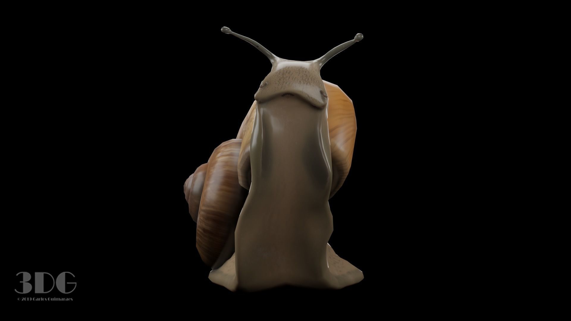 3D model Snail VR / AR / low-poly | CGTrader