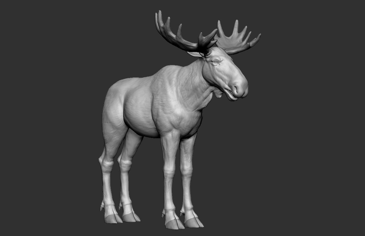 3D model Moose low poly model VR / AR / low-poly | CGTrader