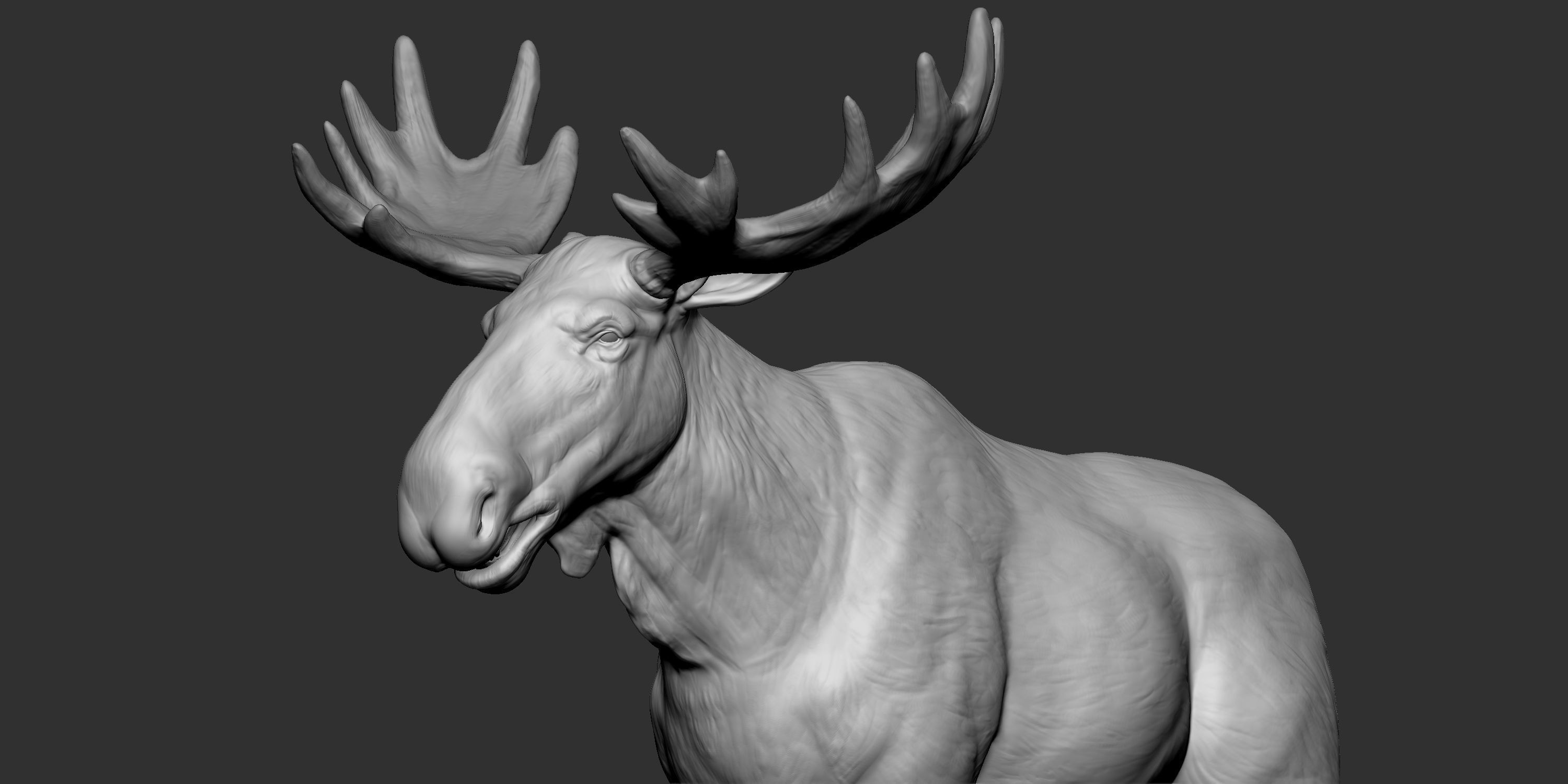 3D model Moose low poly model VR / AR / low-poly | CGTrader