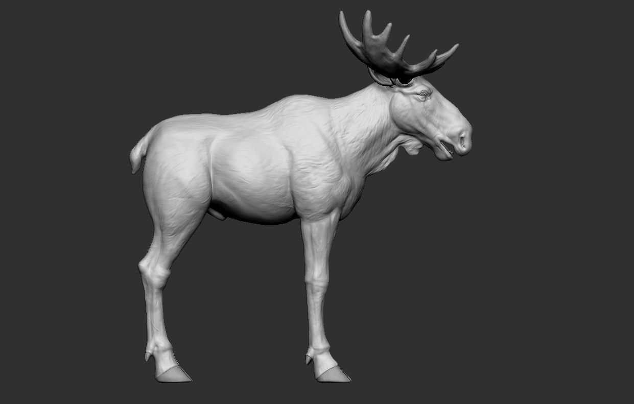 3D model Moose low poly model VR / AR / low-poly | CGTrader