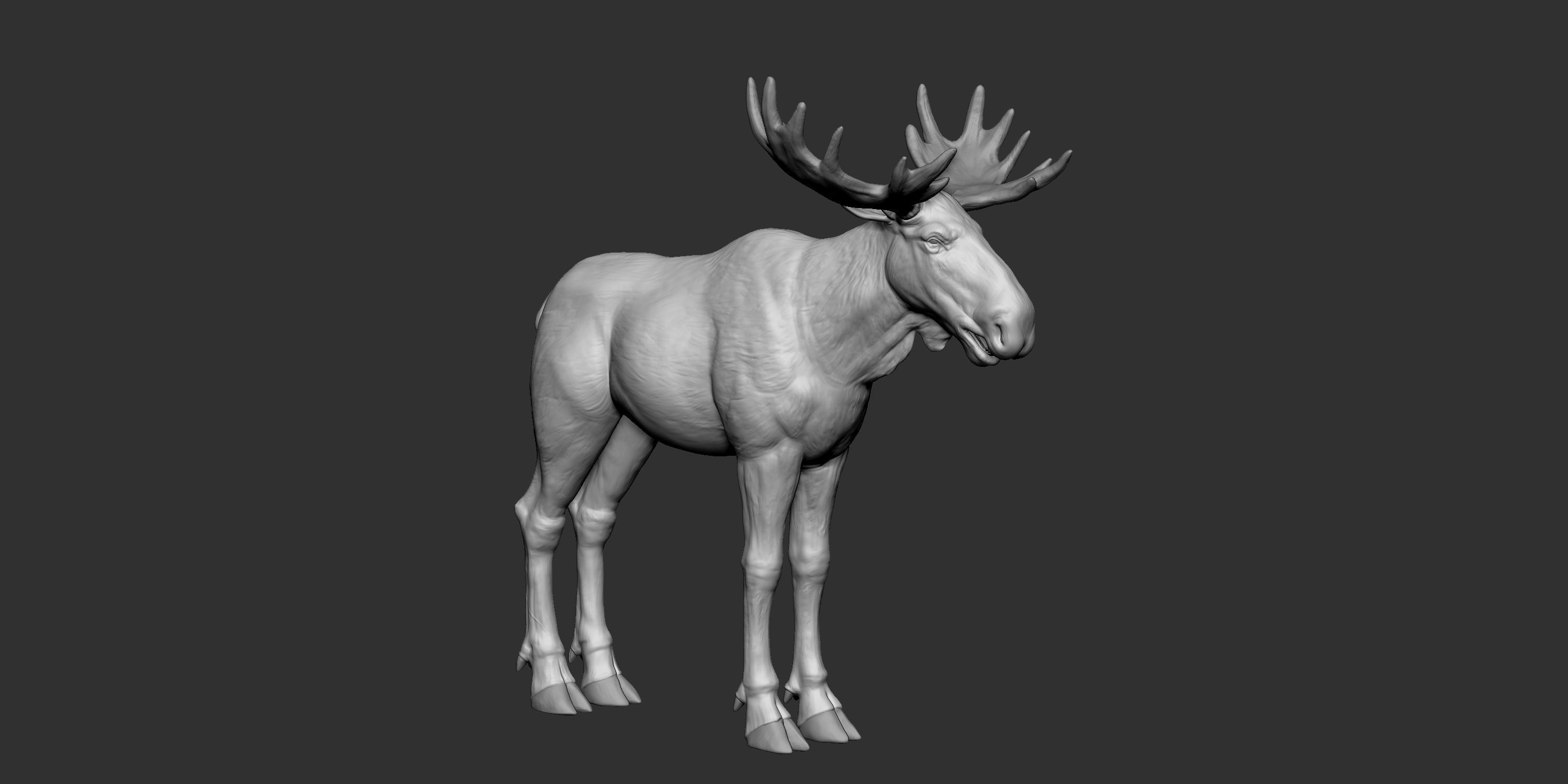 3D model Moose low poly model VR / AR / low-poly | CGTrader