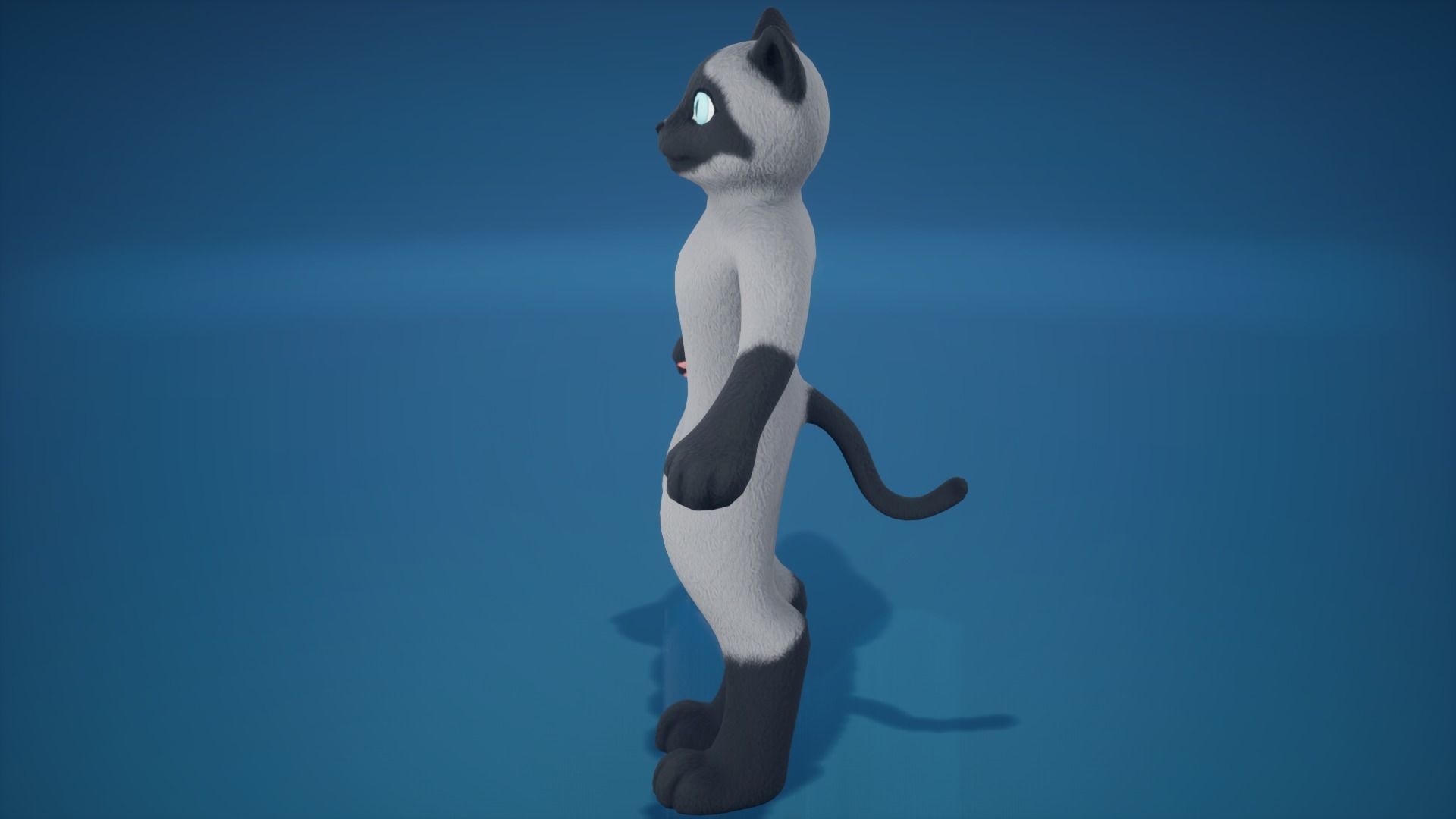 3D model FurSuit Cat VR / AR / low-poly | CGTrader
