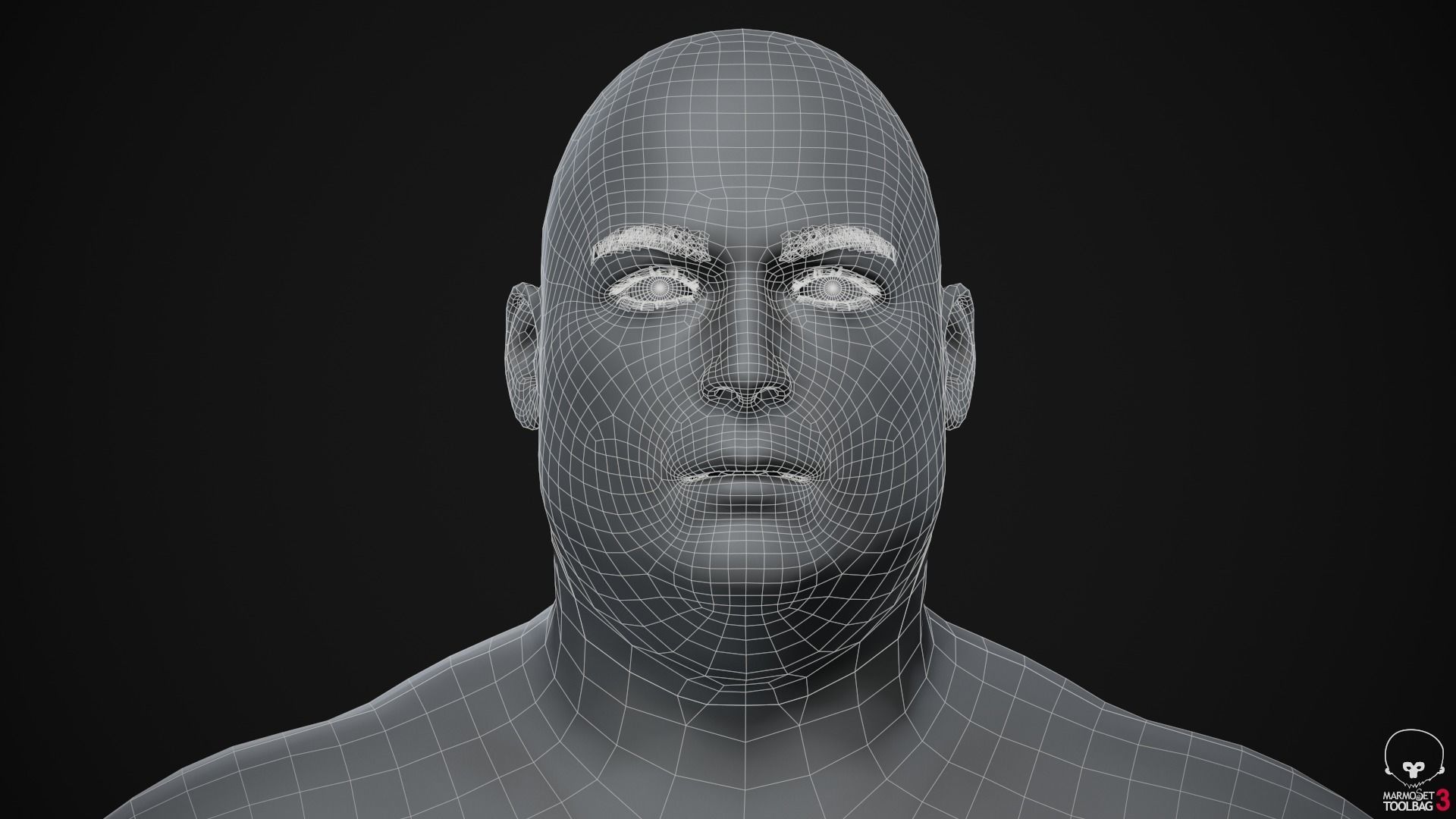 3D Model Collection Plus size men pack VR / AR / low-poly | CGTrader