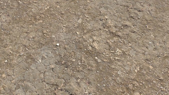 Dirt Path Texture Seamless