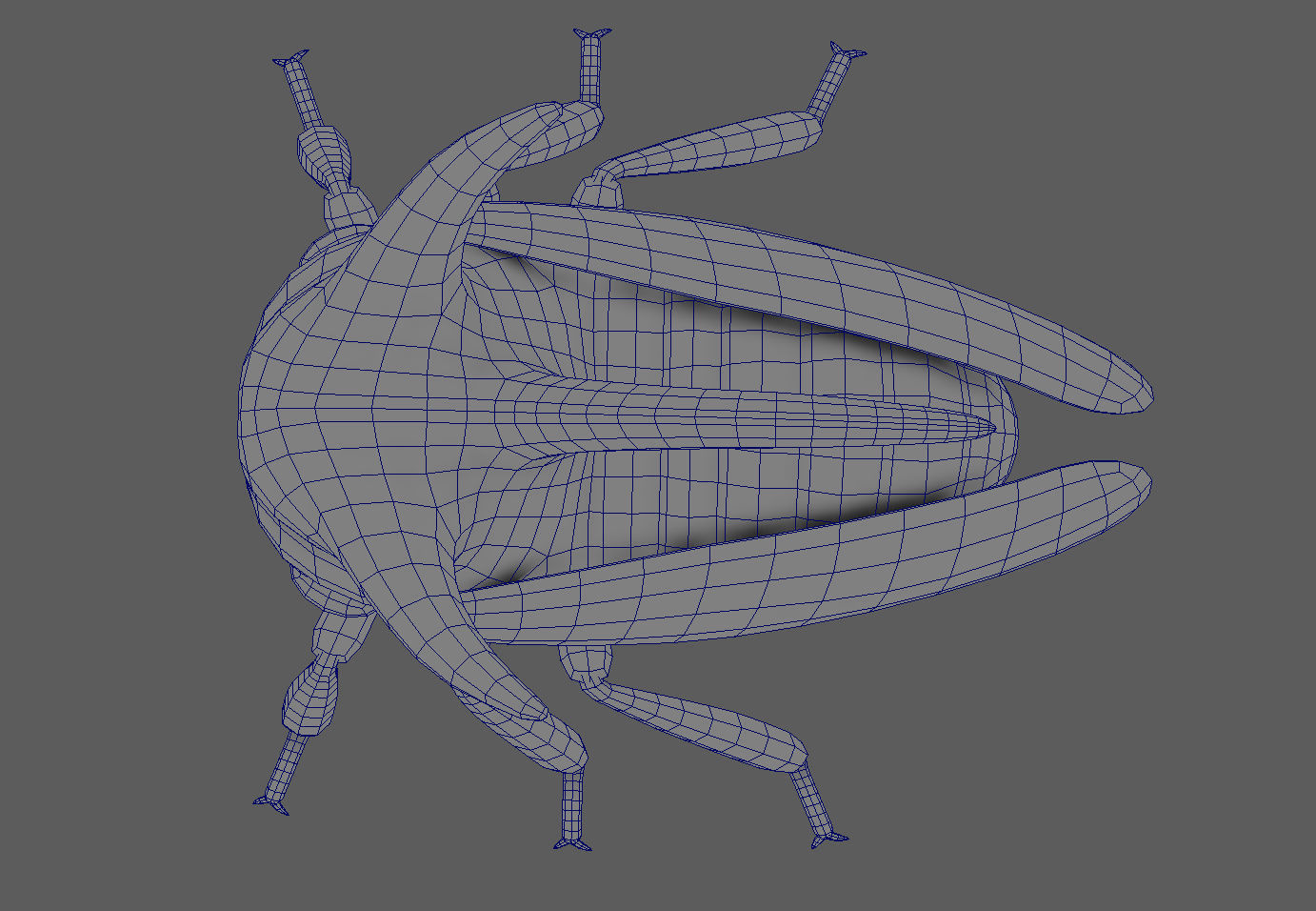 Treehopper bug with long legs and big eyes 3D model | CGTrader