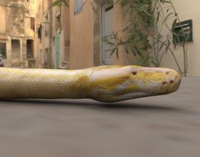 Rigged Python snake 3D Models | CGTrader