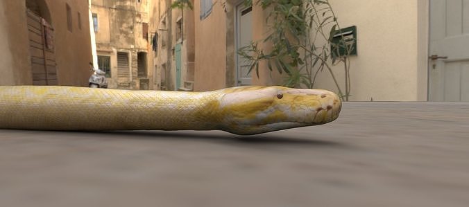 3D model Python worm VR / AR / low-poly rigged | CGTrader