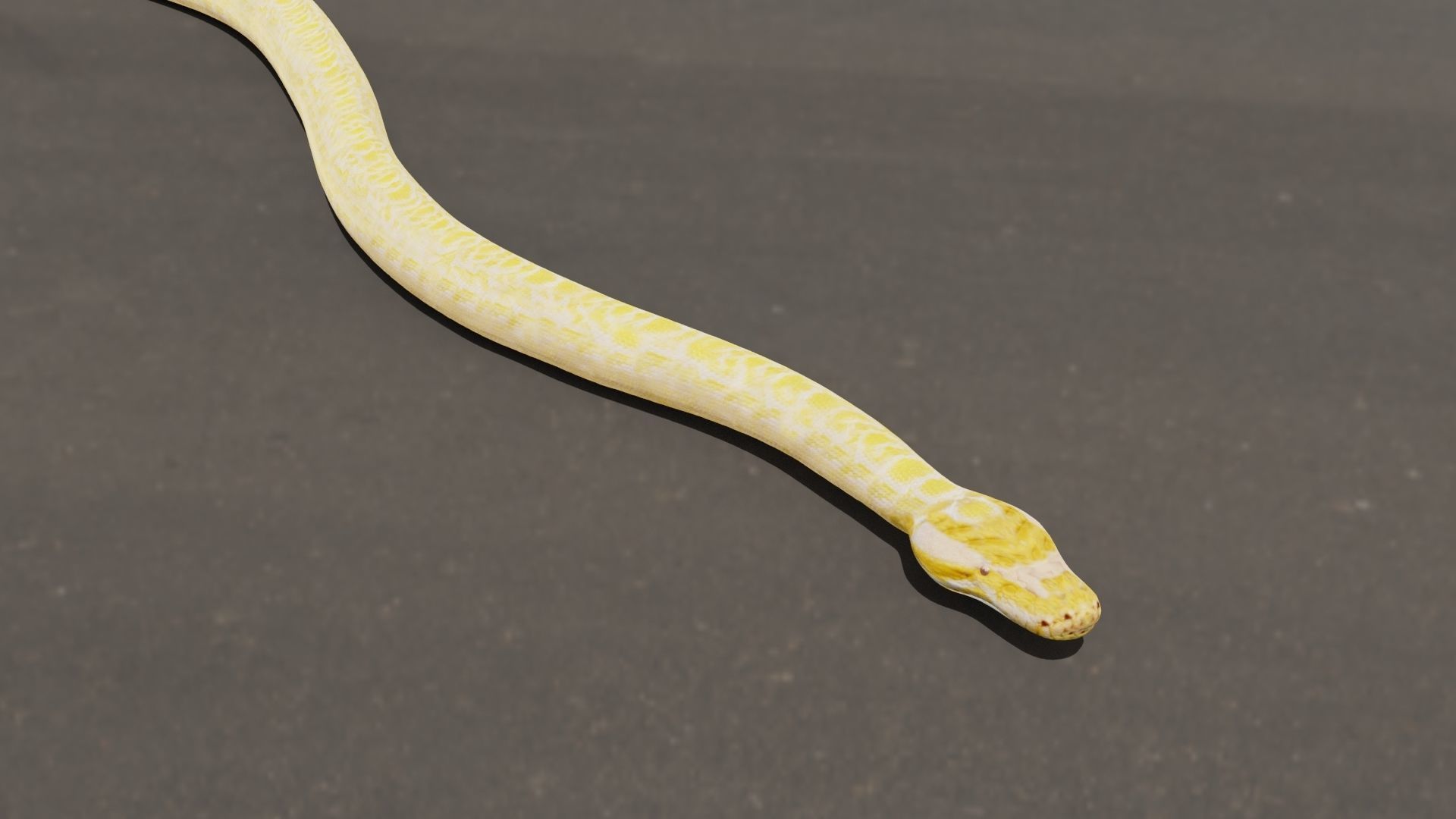 3D model Python VR / AR / low-poly rigged | CGTrader