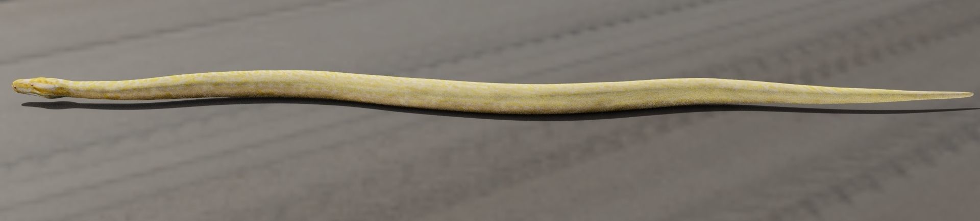 3D model Python VR / AR / low-poly rigged | CGTrader