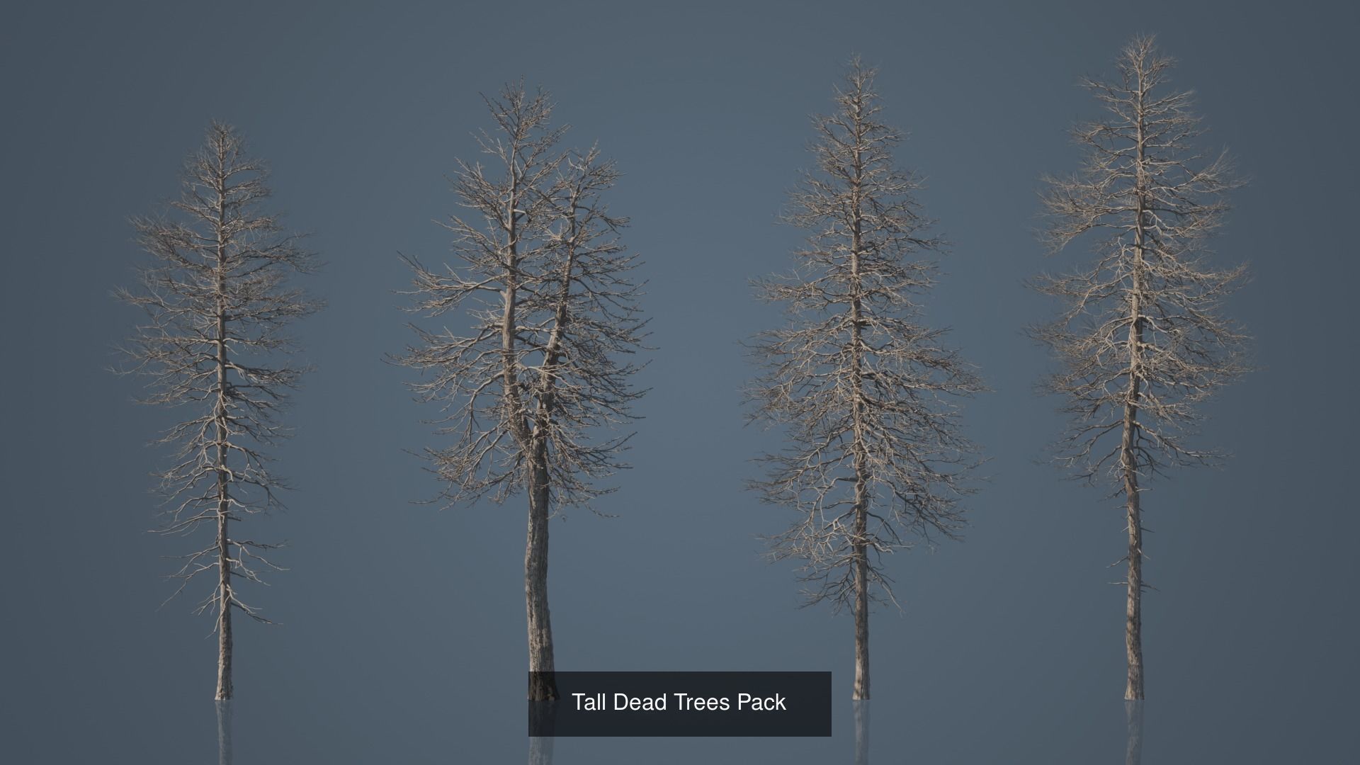 Dead Trees 3D Model Collection | CGTrader