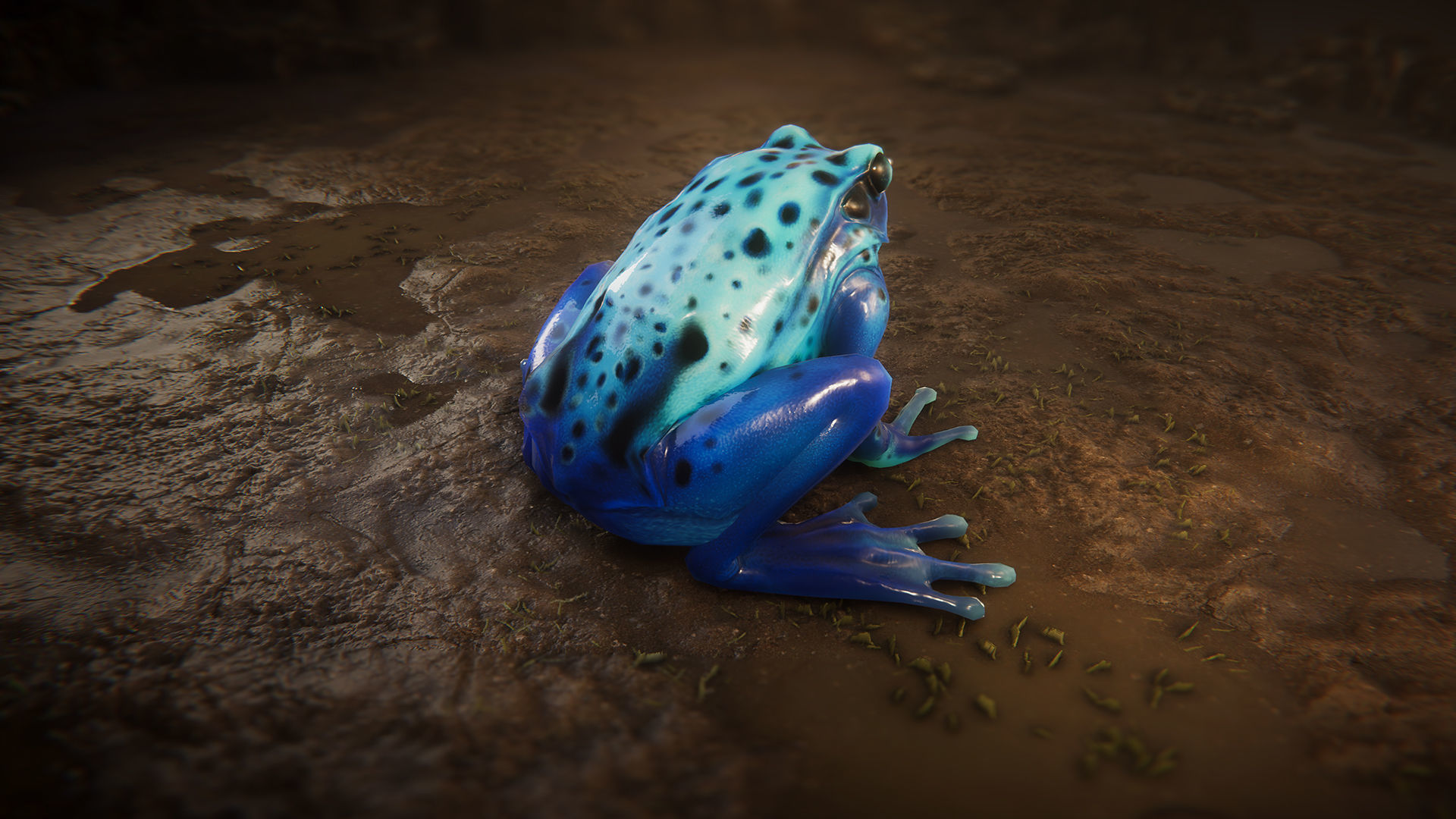 3D model Frogs pack VR / AR / low-poly animated | CGTrader