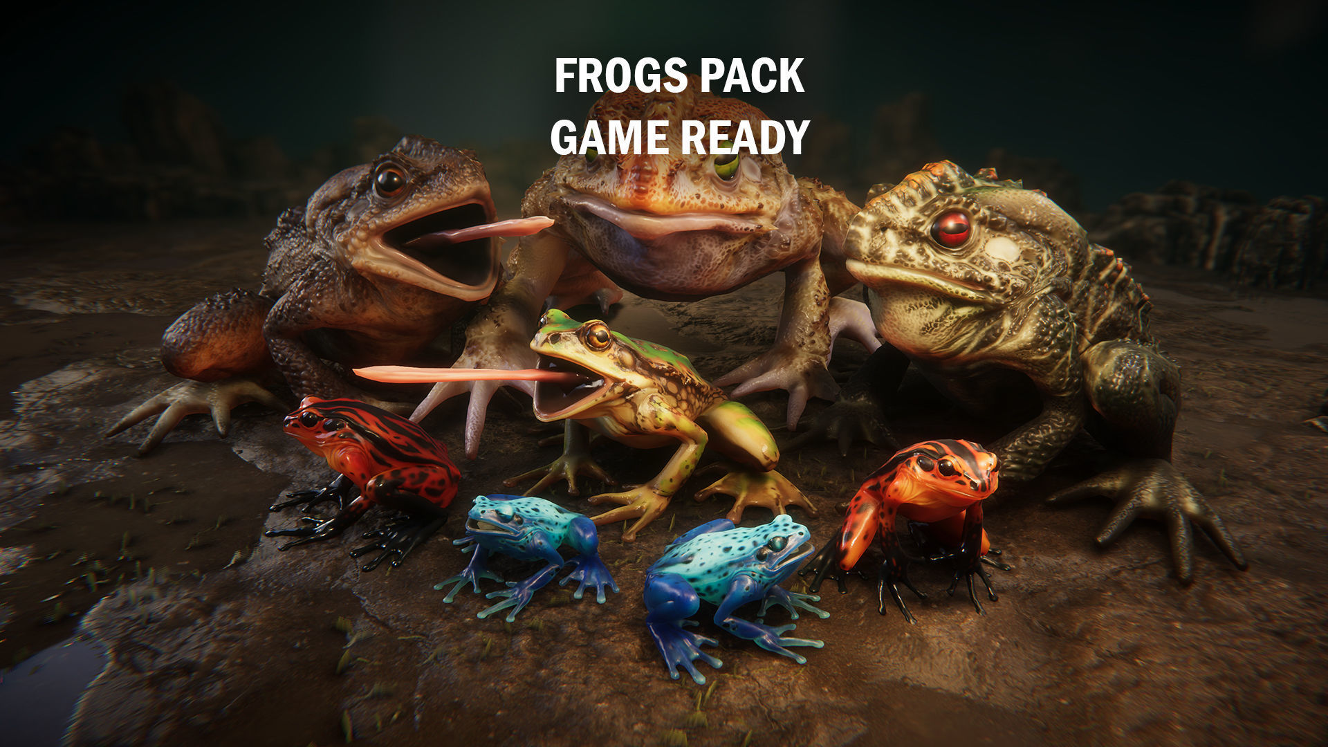 3D model Frogs pack VR / AR / low-poly animated | CGTrader