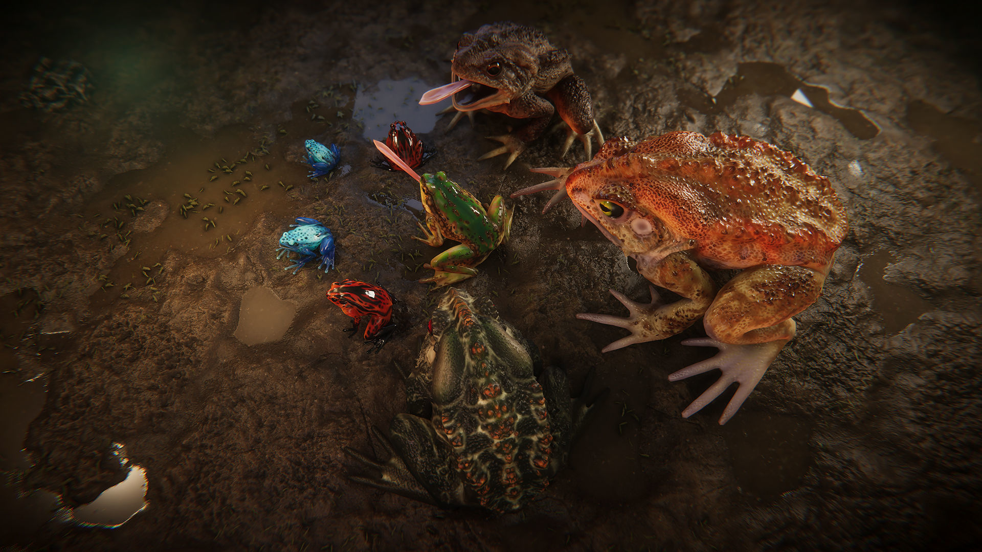 3D model Frogs pack VR / AR / low-poly animated | CGTrader