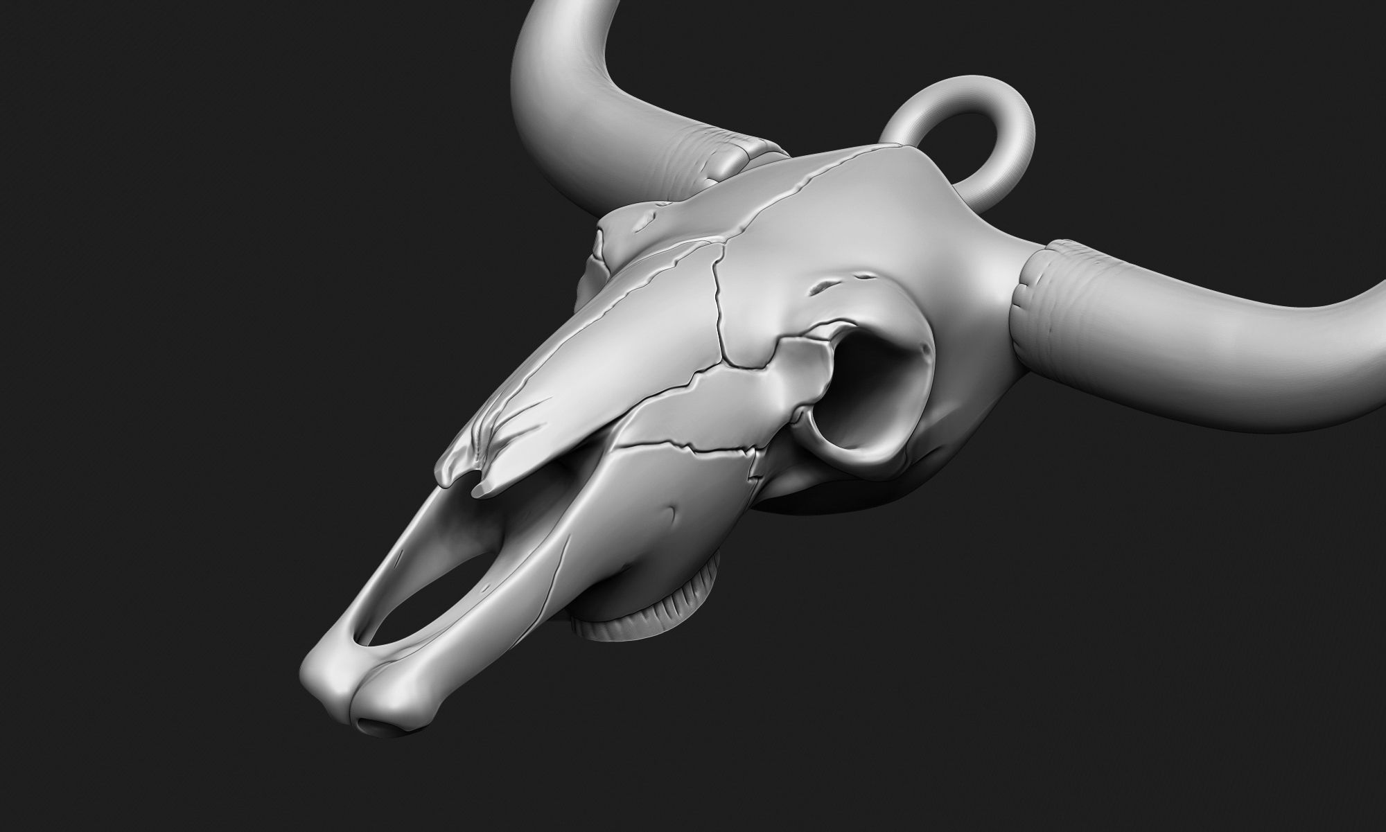 LongHorn Cow Skull 3D model 3D printable | CGTrader