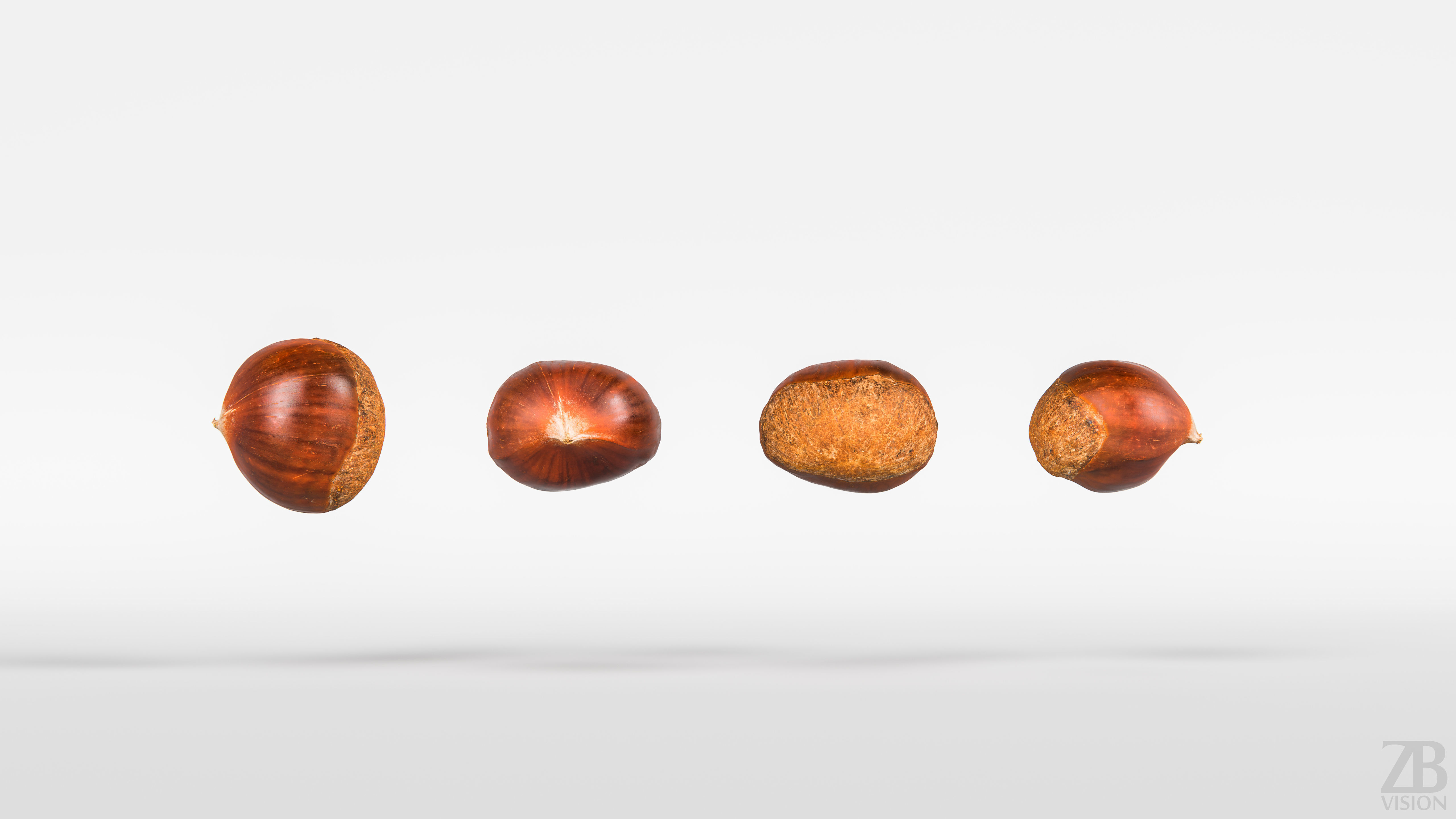 Chestnut 001 3D model | CGTrader