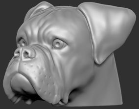 Boxer 3D Printing Models | CGTrader