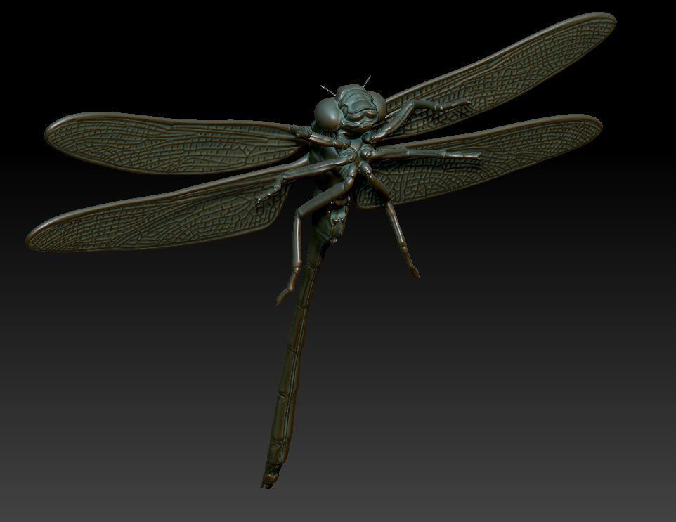 dragonfly 3D model 3D printable | CGTrader