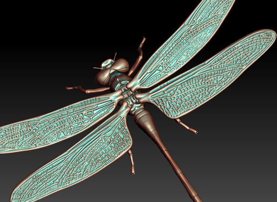 Dragonfly 3D model 3D printable | CGTrader