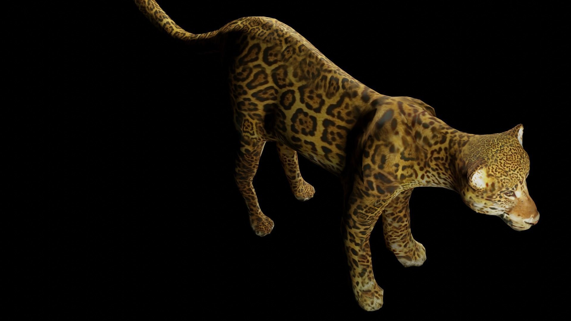 3D model leopard VR / AR / low-poly | CGTrader