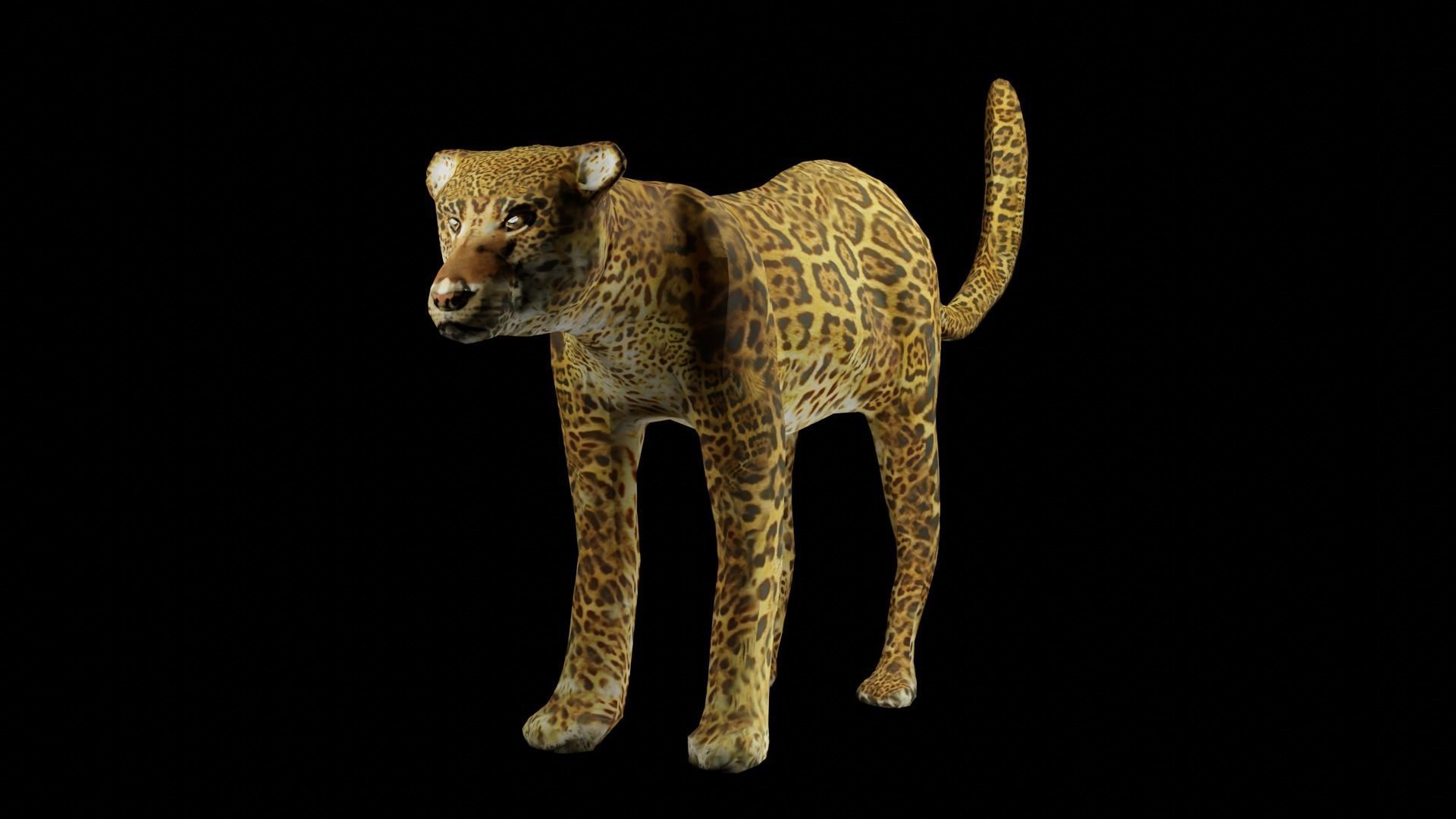 3D model leopard VR / AR / low-poly | CGTrader