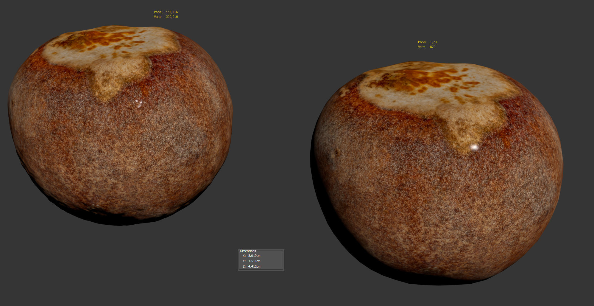 Avocado Seed 3D model | CGTrader