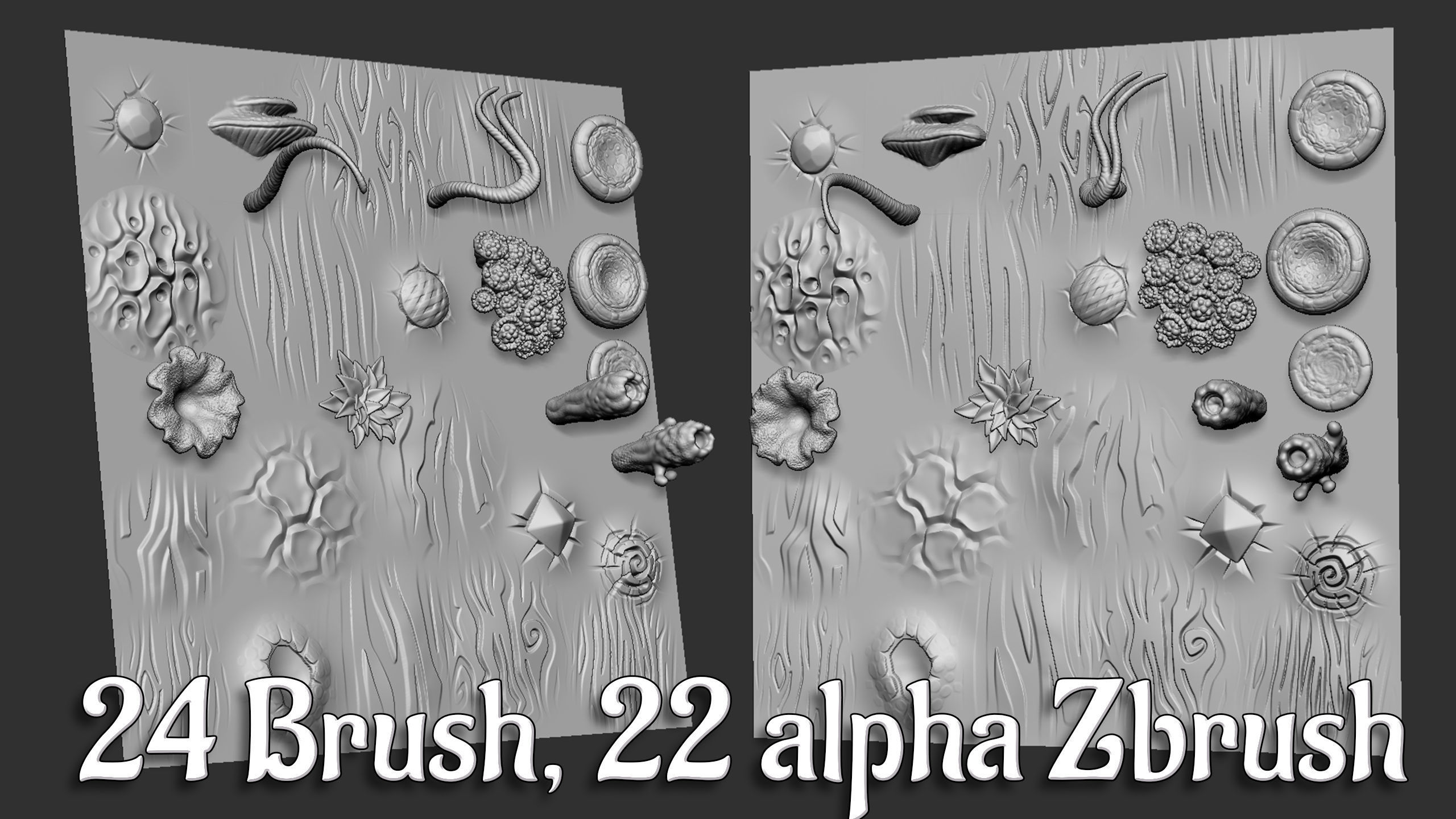 24 Brush 22 alpha Zbrush Texture | CGTrader