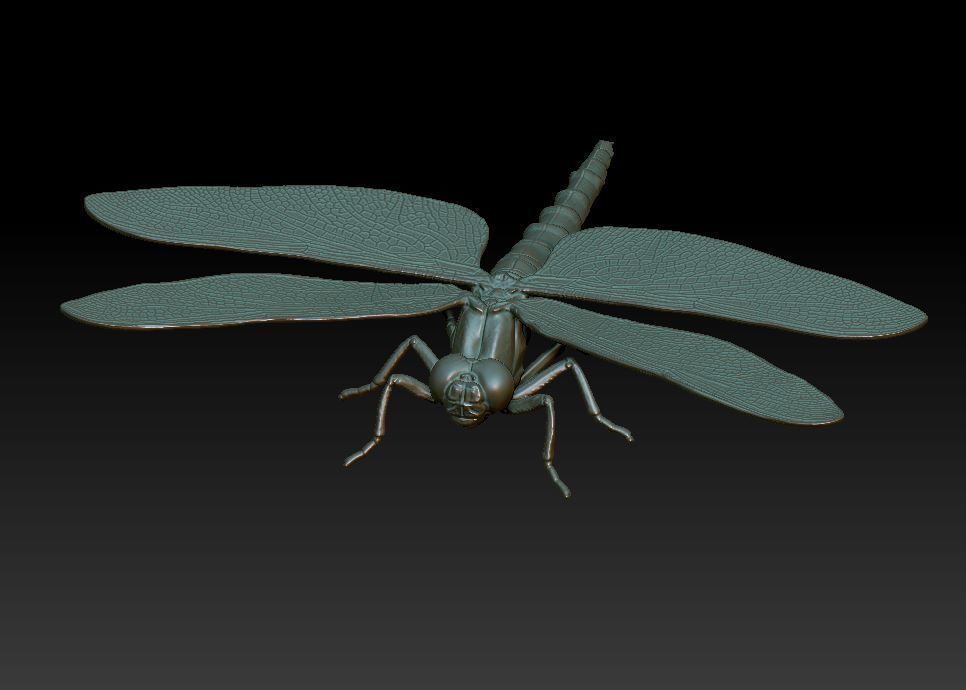 Dragonfly 3D model 3D printable | CGTrader