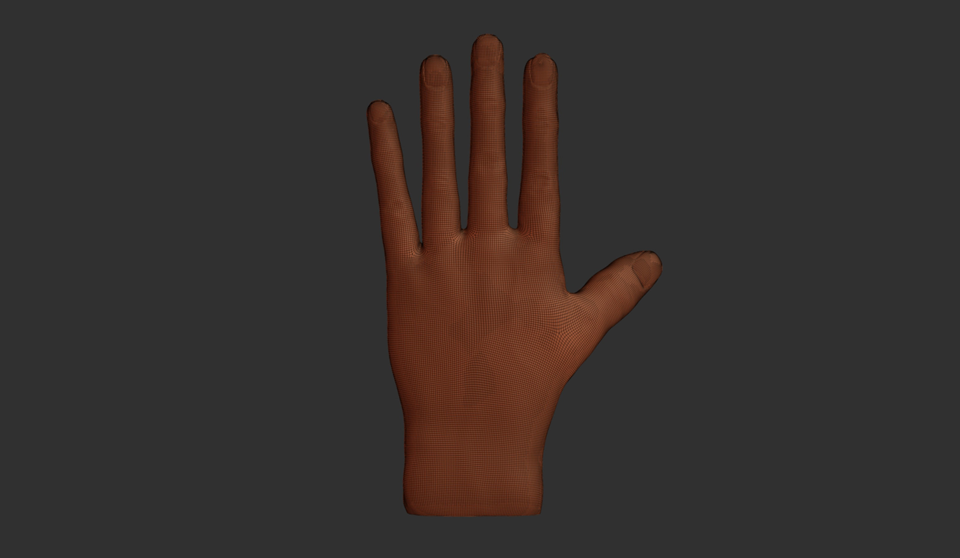 realistic hand model 3D model | CGTrader