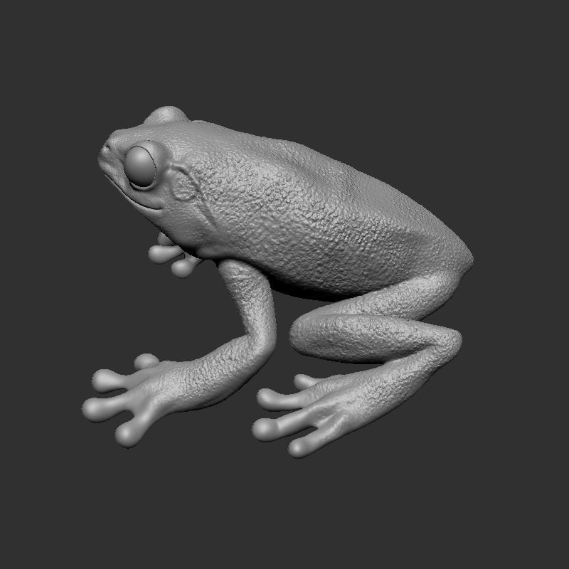 Frog STL for 3D model 3D printable | CGTrader