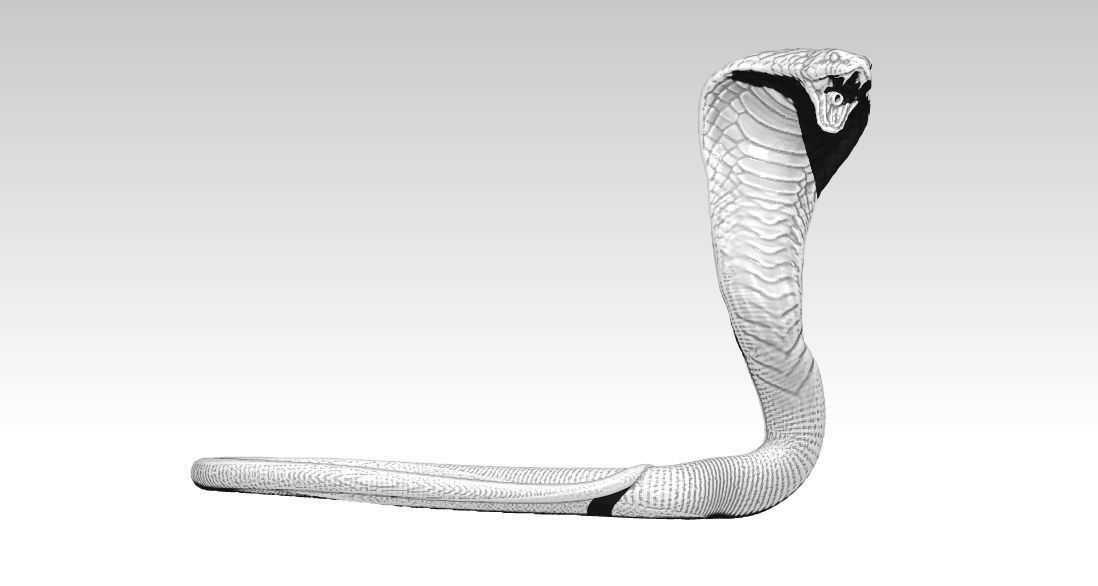 Highpoly Realistic Cobra Snake 3D model 3D printable | CGTrader