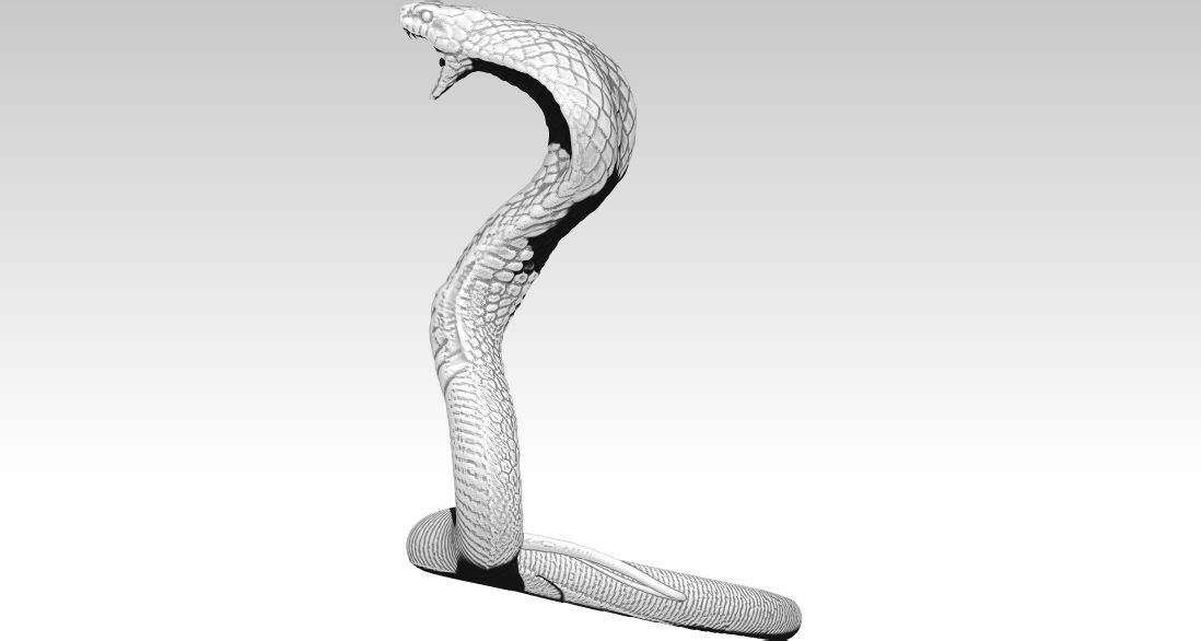 Highpoly Realistic Cobra Snake 3D model 3D printable | CGTrader