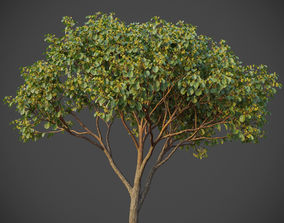 Xfrogplants 3D Models | CGTrader