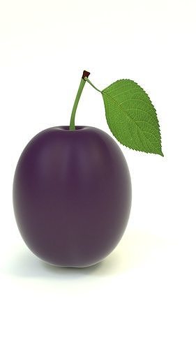Plum fruit free 3D model | CGTrader