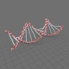 Strand of DNA free 3D model 3D printable | CGTrader